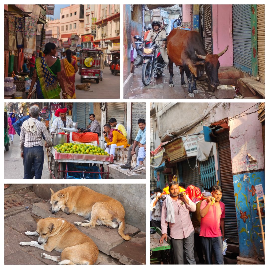 Qué ver en Varanasi, la Ciudad más sagrada de la India - OnMyWall